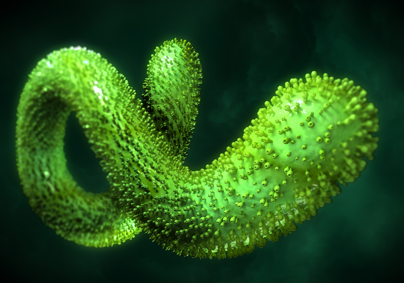 Ebola Update: More Experimental Treatments, Health Workers at Risk ...