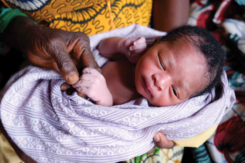 In Their Earliest Days, Embryos Record Their Environments | The Scientist