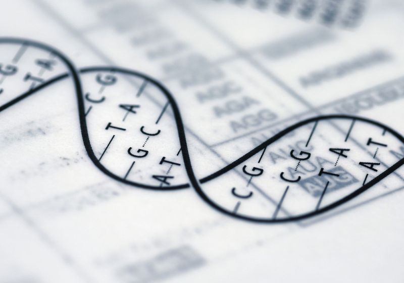 Scientists Play Favorites with Studying Human Genes. Here’s Why. | The ...