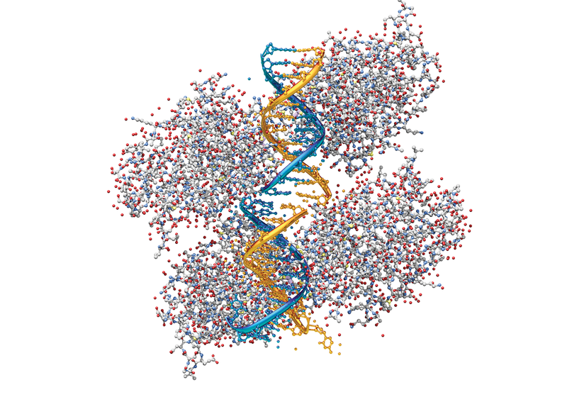 Integrating Multiple -Omics in Individual Cells | The Scientist