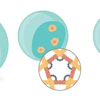 Nucleus | The Scientist