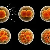 Laboratory Animals | The Scientist