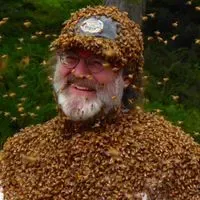 Honey Bees | The Scientist