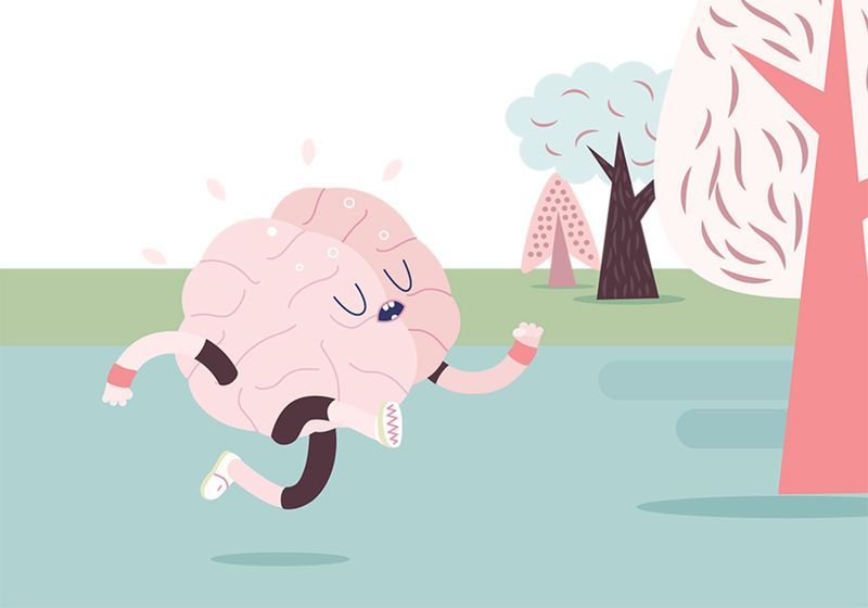 How Exercise Reprograms the Brain | The Scientist