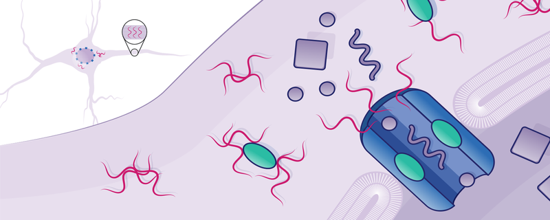 Faulty Cell Transport System Implicated in Alzheimer’s Disease | The ...