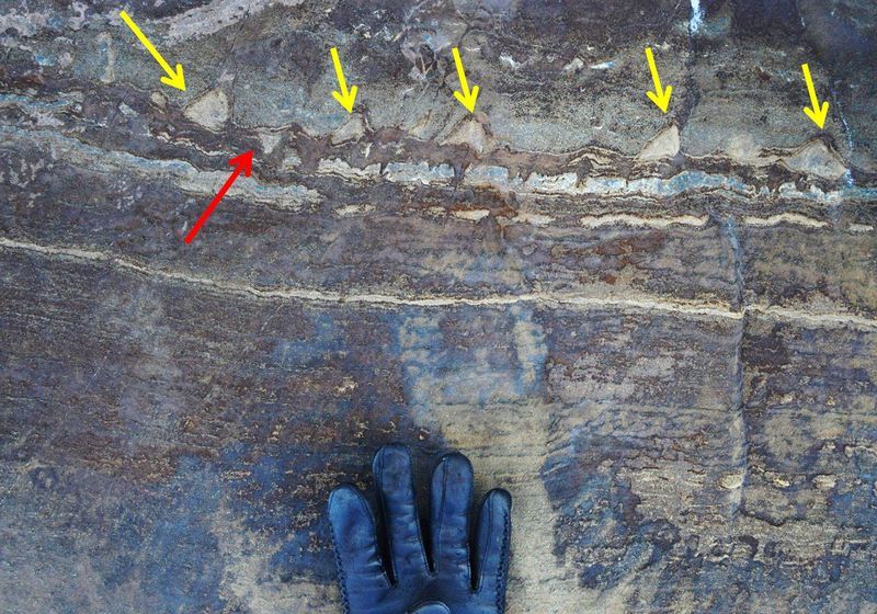 Signs of Ancient Microbial Life Questioned | The Scientist