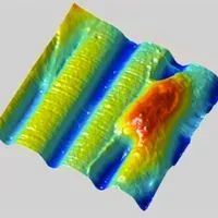 Image of the Day: Shrink Ray | The Scientist