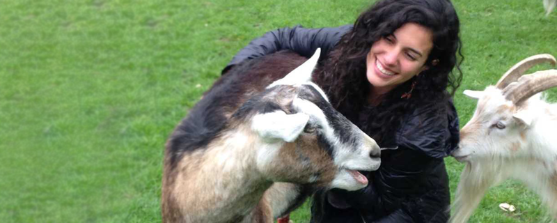 Goats Prefer Happy Human Faces | The Scientist