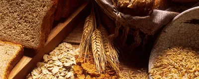 Low-Gluten Diet Alters the Human Microbiome | The Scientist
