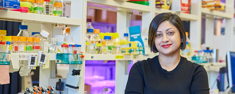 Prachee Avasthi Explores How Cells Build and Maintain Cilia | The Scientist