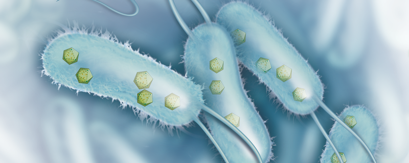 Bacteria Harbor Geometric “Organelles” | The Scientist