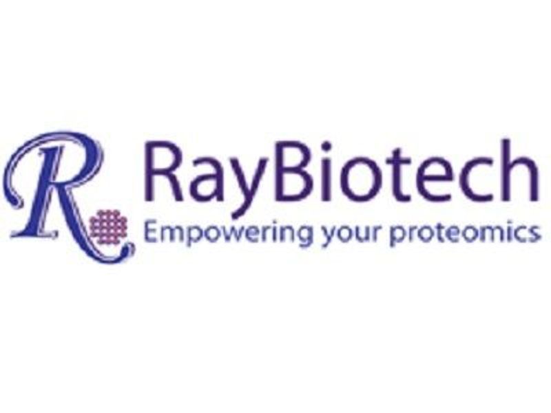 Preparing Cell Or Tissue Lysates For ELISA Kits | The Scientist