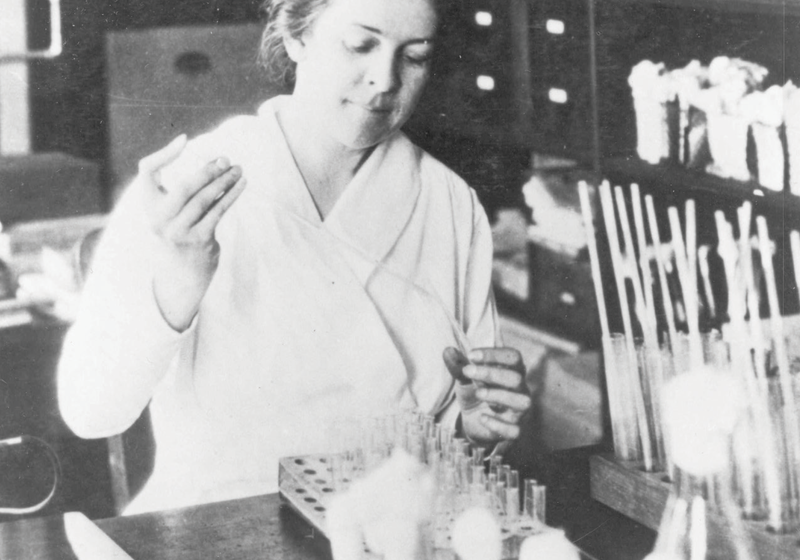 Rethinking Raw Milk, 1918 | The Scientist