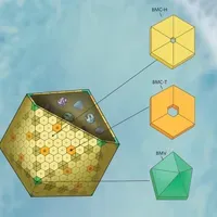 Organelles | The Scientist