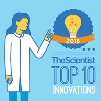 The Scientist Magazine Issue | December 2018 | Invisible Borders | The ...