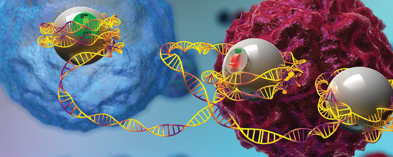 Researchers Engineer Epigenome Editors to Study How Gene Expression ...