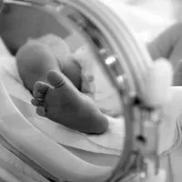 BabySeq | The Scientist