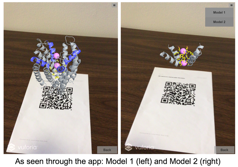 BiochemAR: an augmented reality app for easy visualization of virtual ...