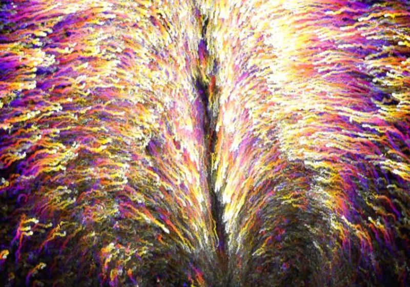 Image of the Day: Cellular Tracks | The Scientist