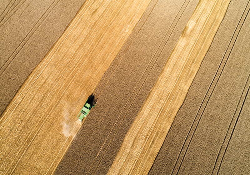 Opinion: GE Crops Are Seen Through a Warped Lens | The Scientist