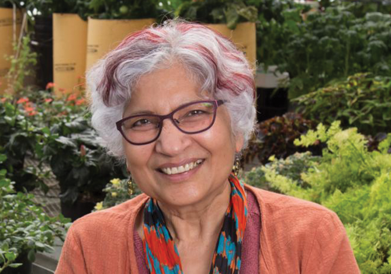 Perennial Explorer: A Profile of Neelima Sinha | The Scientist