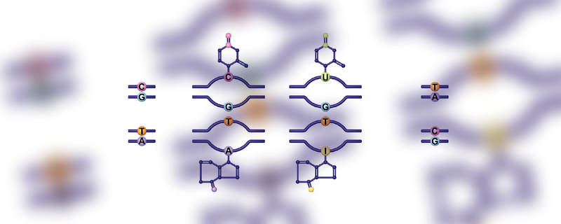Infographic: Plant Genome Editors Get A New Tool | The Scientist