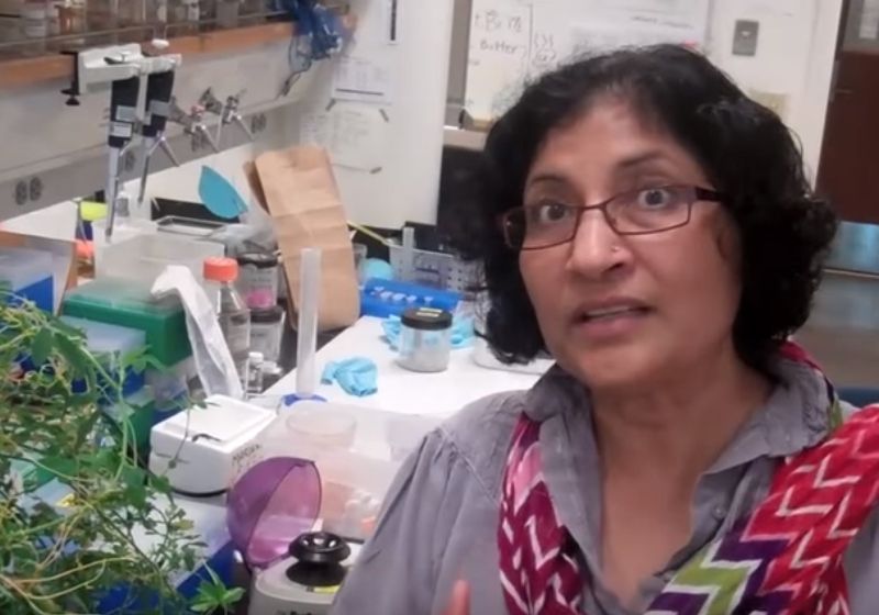 Mind the Vines | The Scientist