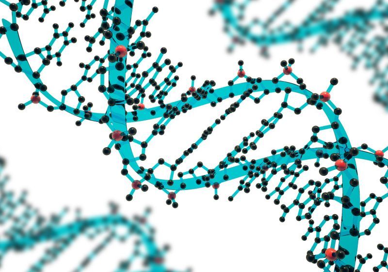 Preliminary Results Point to Success of In Vivo Gene Editing | The ...