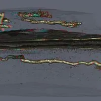 Fossilized Tubes Point to Super-Ancient Mobile Organisms | The Scientist