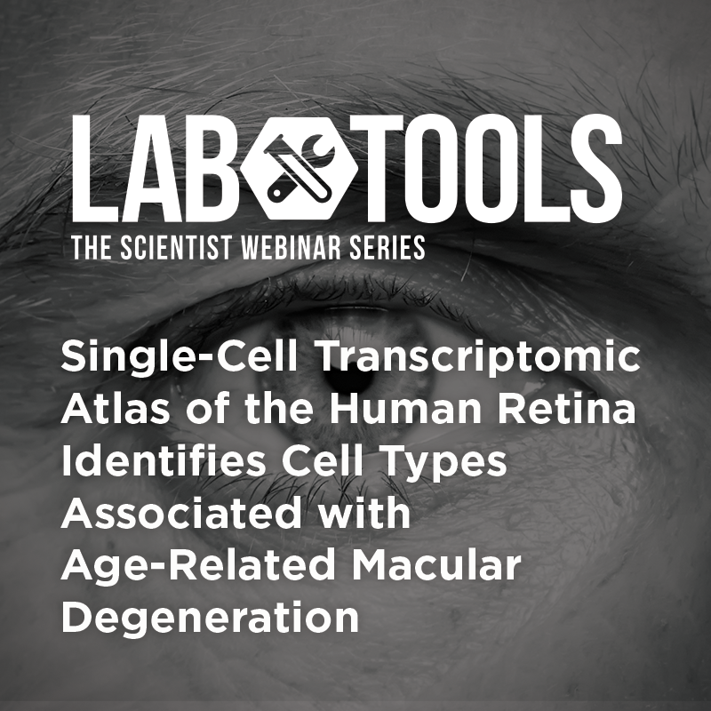 Single-Cell Transcriptomic Atlas of the Human Retina Identifies Cell ...
