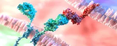 Nature Retracts Paper on Delivery System for CAR T Immunotherapy | The ...