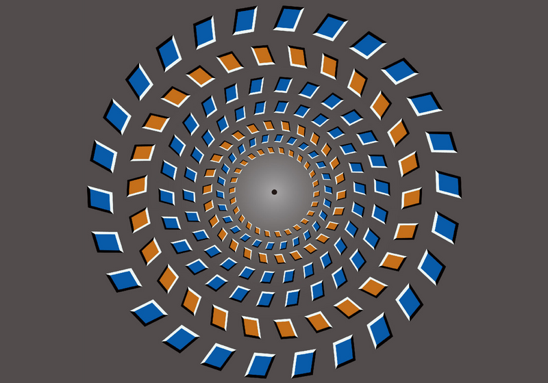 Image of the Day: Under the Illusion | The Scientist