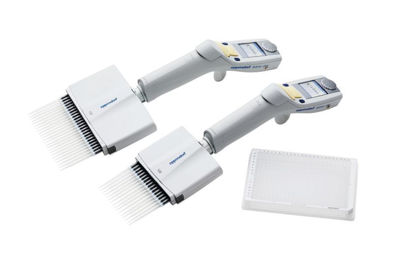 Manual pipetting of 384-well plates made easy! | The Scientist