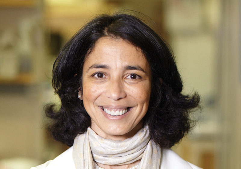 Cancer Vaxxer: A Profile of Miriam Merad | The Scientist