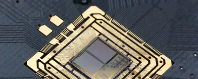 Building a Silicon Brain | The Scientist