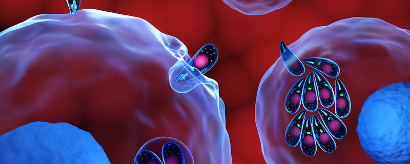 Microbiology Meets Machine Learning | The Scientist