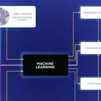 Machine-learning Algorithms | The Scientist