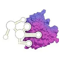 RayBiotech Profile | The Scientist