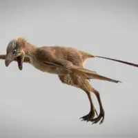 Image of the Day: Bat-like Wings | The Scientist