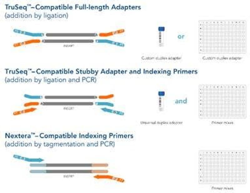 IDT brings unmatched customization to NGS | The Scientist