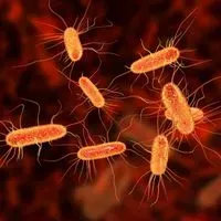 Most Extensive Synthetic Genome Project to Date | The Scientist