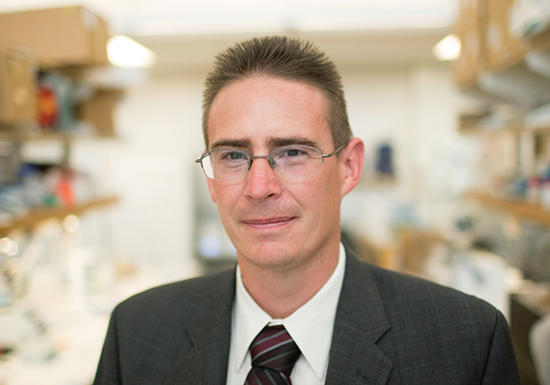 Microbe Miner: A Profile of Rob Knight | The Scientist