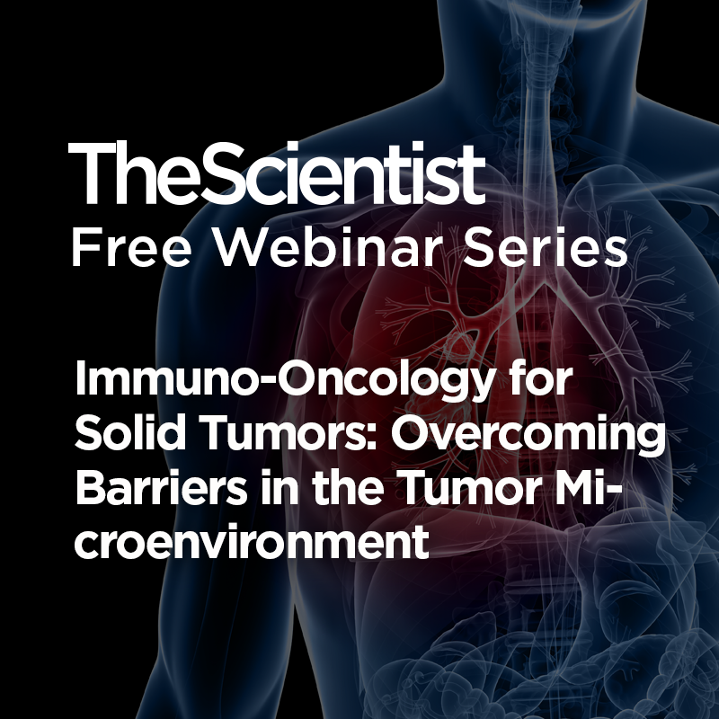 Immuno-Oncology for Solid Tumors: Overcoming Barriers in the Tumor ...