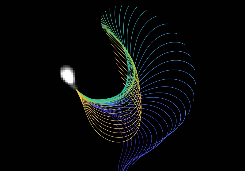 Image of the Day: Motile Swimmers | The Scientist Magazine®