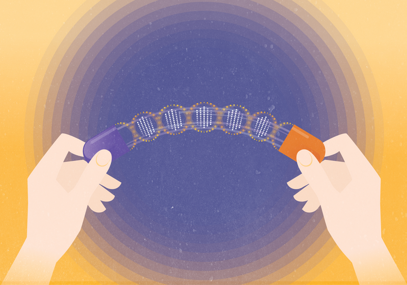 Moving Towards Individualized Medicine For All | The Scientist