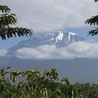 Michael Graw Author Profile | The Scientist