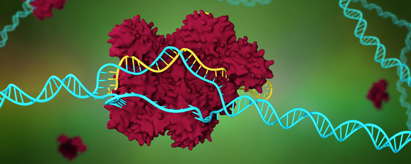 Digital DNA Detection | The Scientist