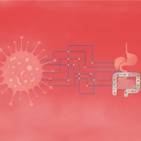 Human Microbiome | The Scientist