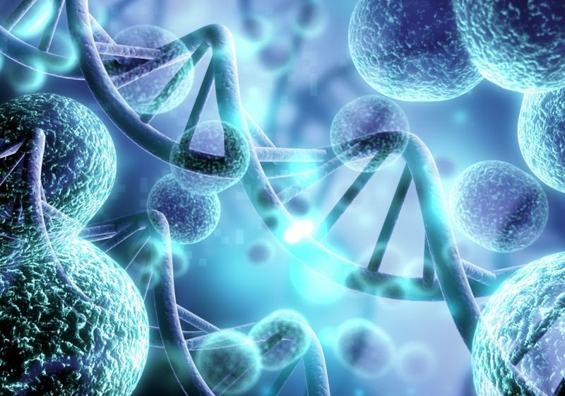 US Senators Call for International Guidelines for Germline Editing ...