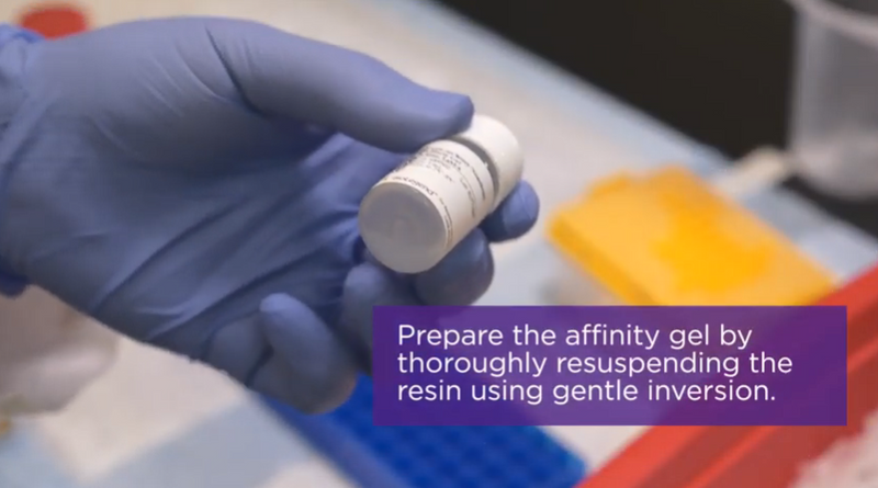 BioLegend: Immunoprecipitation of Epitope-tagged Fusion Proteins using ...